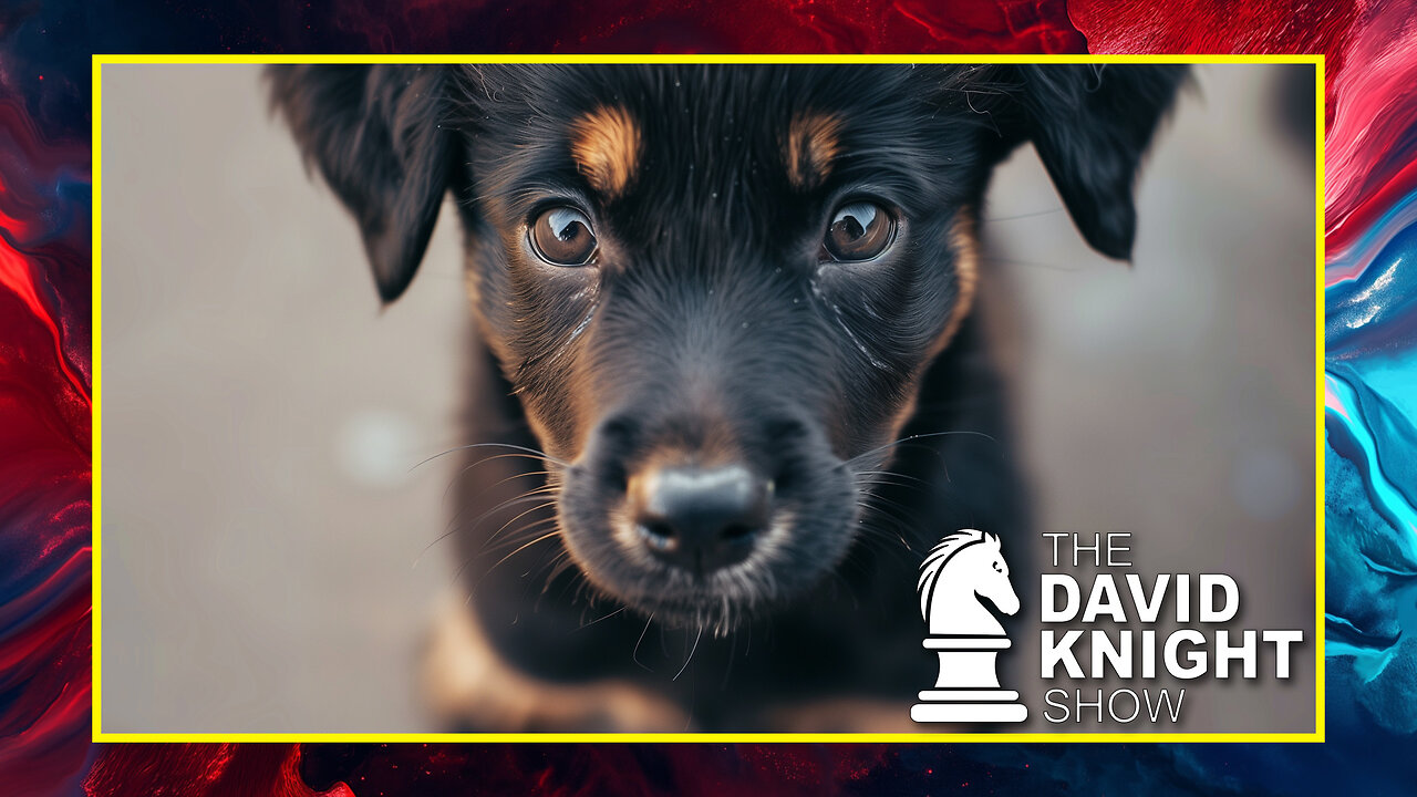 Kristi Noem, Puppy Killer, Teaches Important Lesson About Morality vs ...