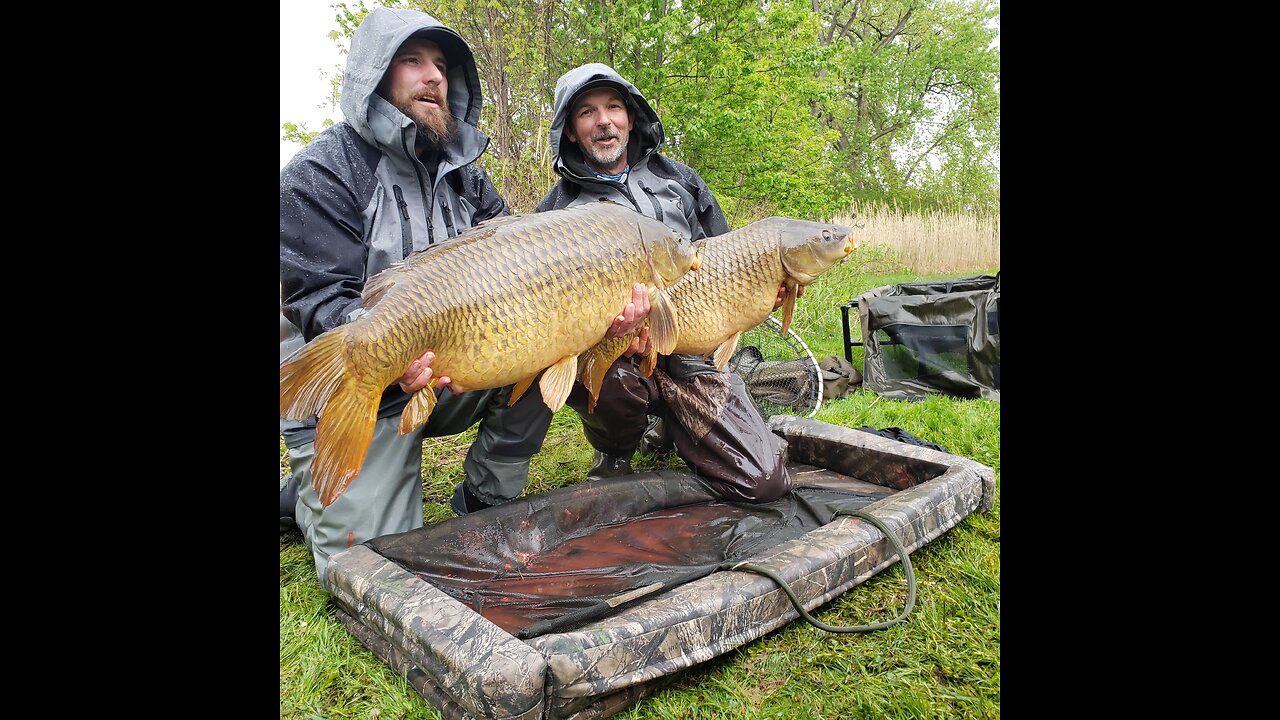 Wild Carp Classic 2024 team Proline