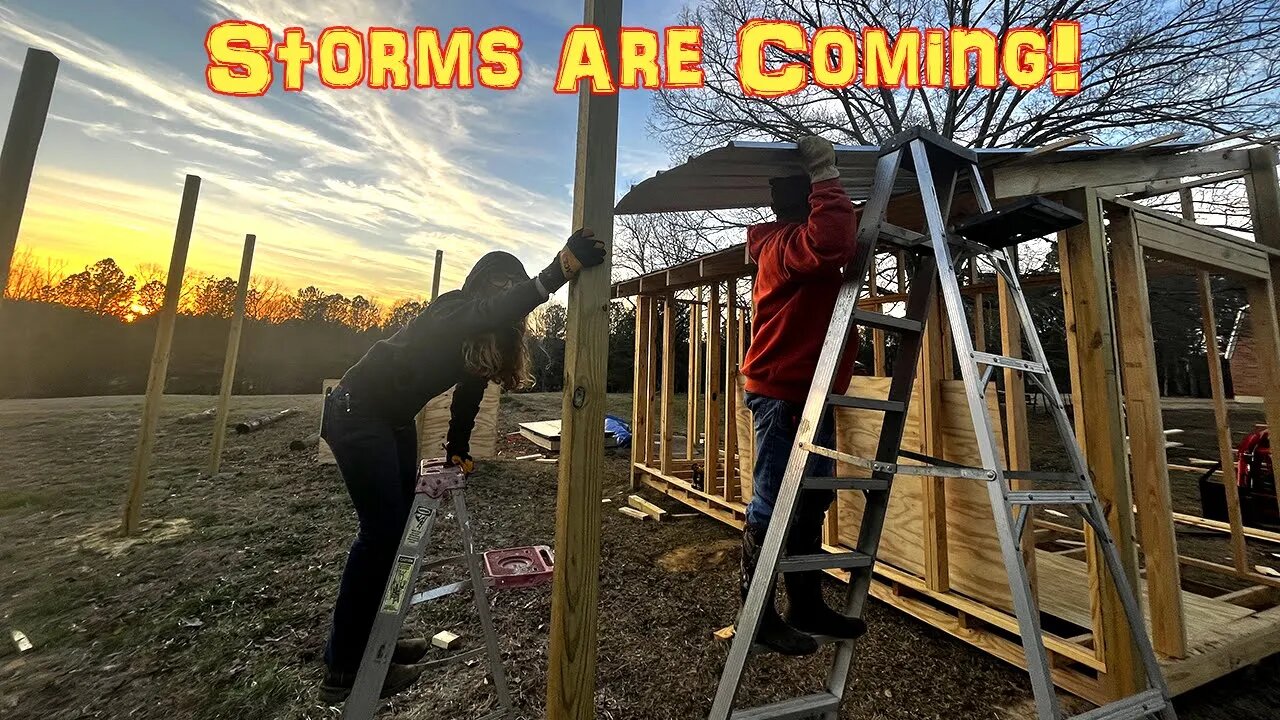 Getting A Roof On The Predator Proof Chicken Coop Before The Big Storm ...