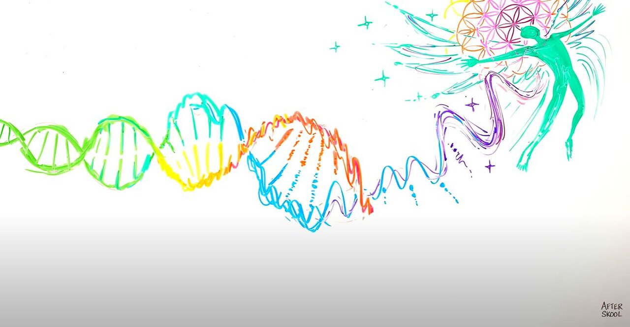TIMELINE SPLIT - Humans Are Splitting into Different Dimensions - The ...