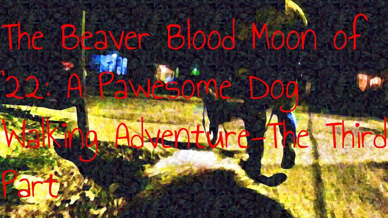 The Beaver Blood Moon of '22: A Pawsome Dog Walking Adventure-The Third ...