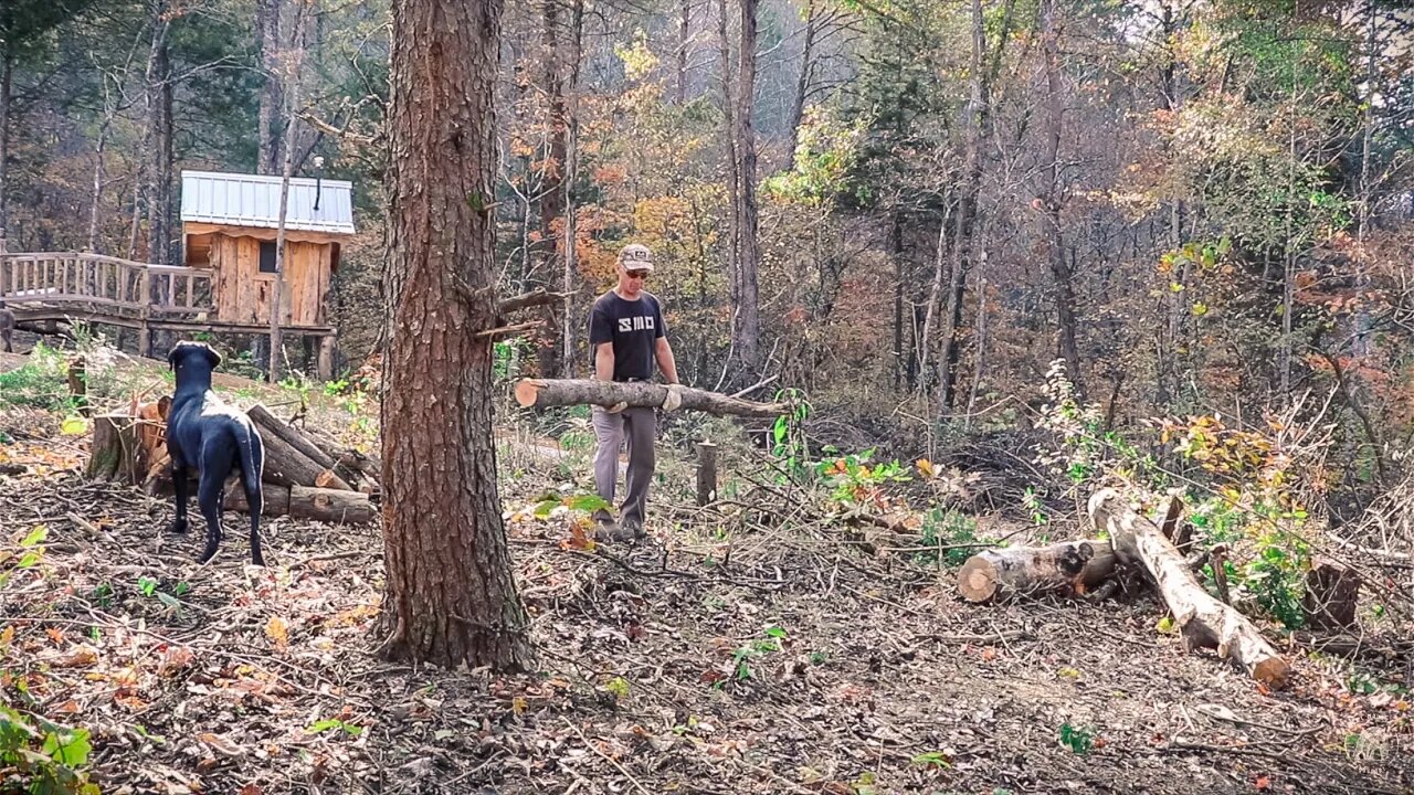 CLEARING WOODLAND FOR NEW SAWMILL:KILN BUILDING | OFF GRID TIMBER FRAME ...