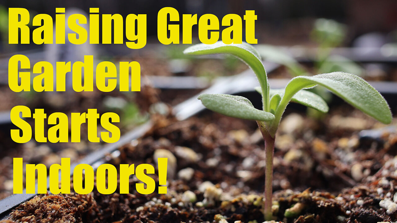 Raising Hundreds Of Garden Starts From Seed Indoors (Part 2 - Plug To ...