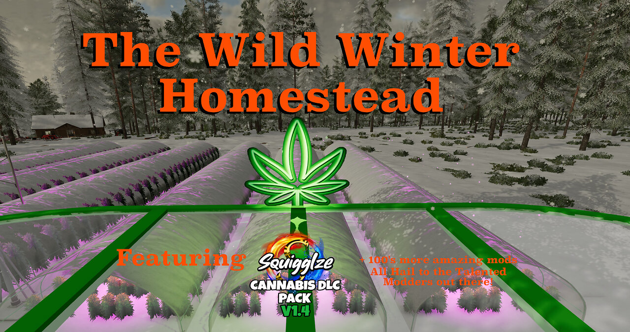 The Wild Winter Homestead