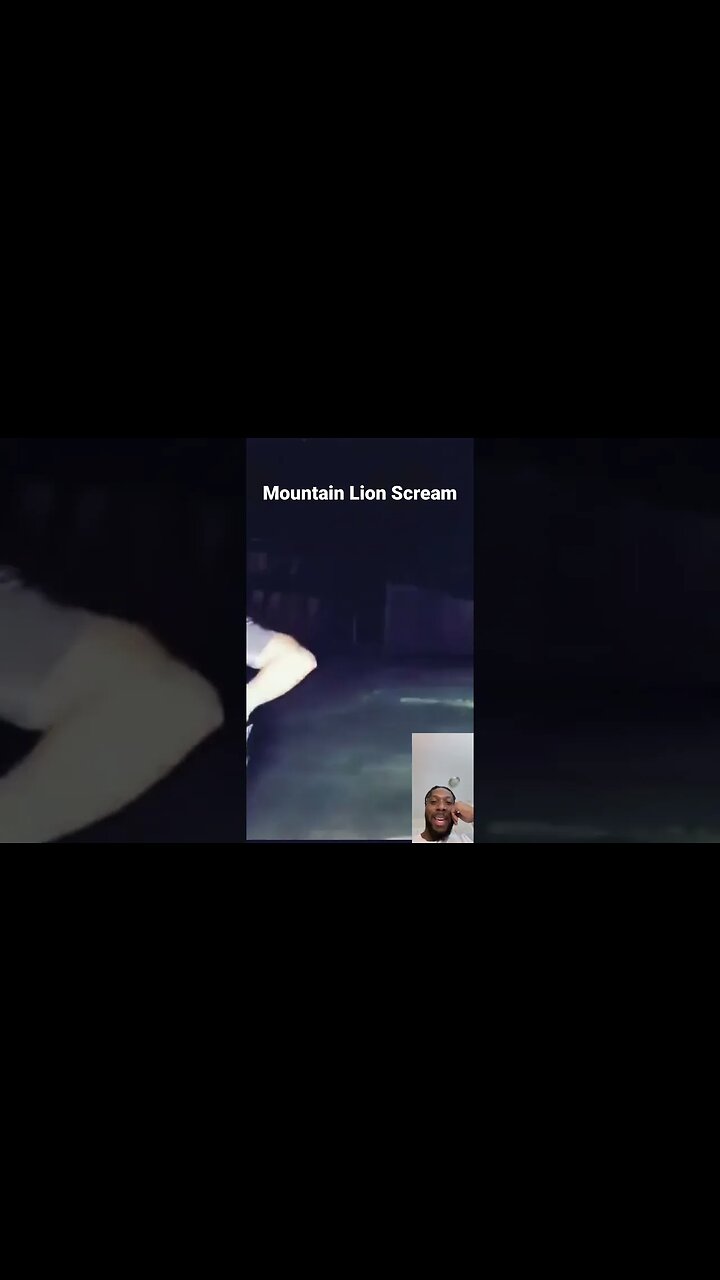 Police officer gets back in the car after hearing a mountain lion ...