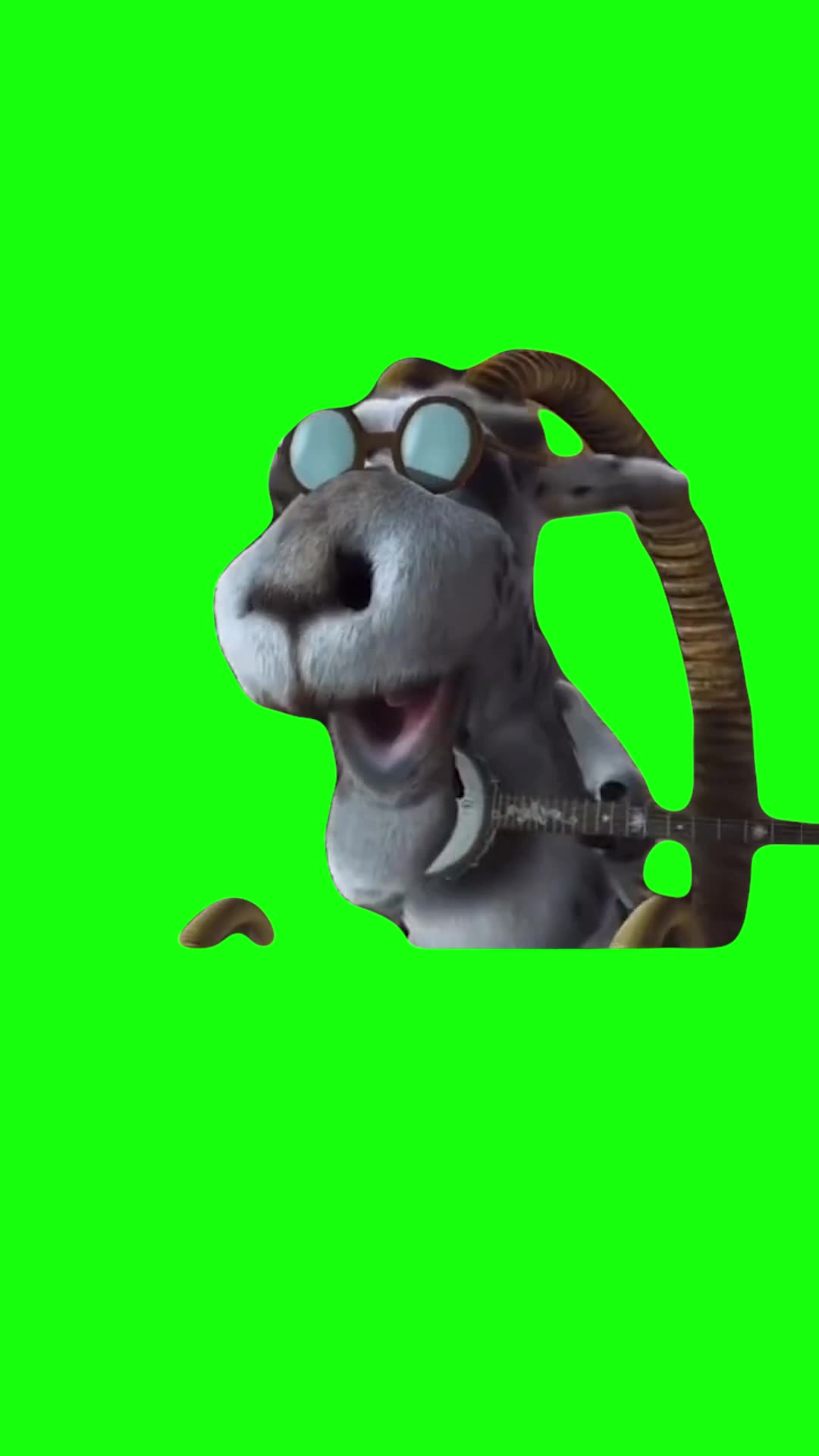 Hoodwinked Goat “Did I, Did I” Green Screen