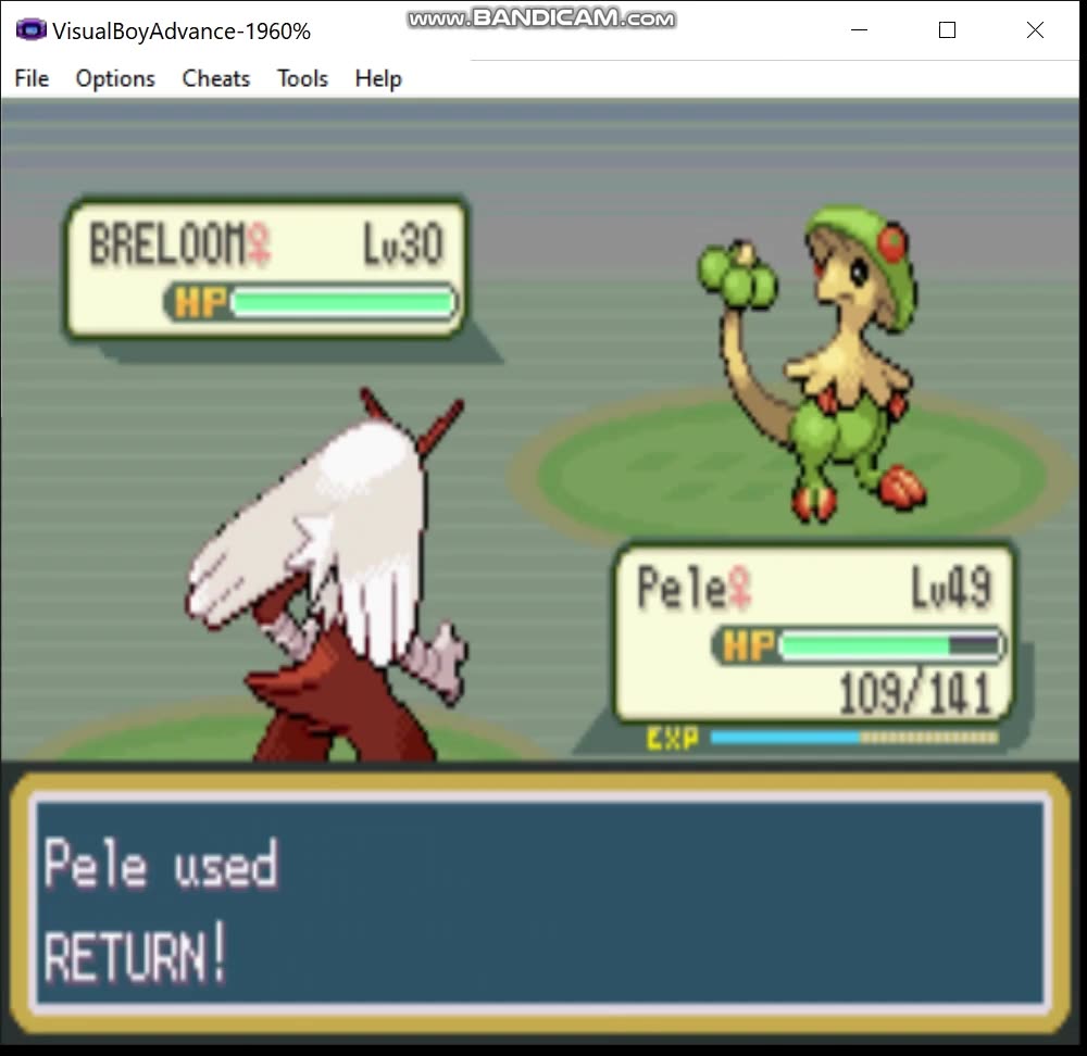 Pokemon Kanto Complete - Shiny Fire Monotype, Episode 11: The Long Way