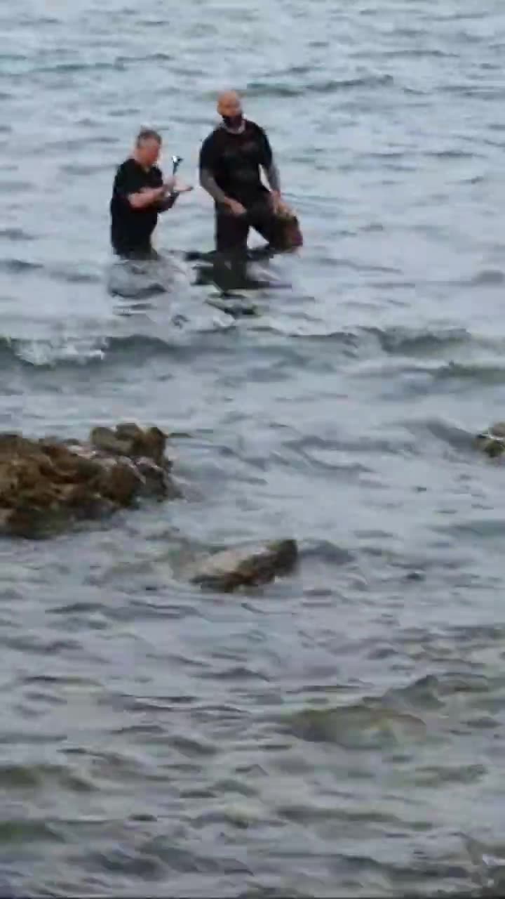 ORACLE FAST MONEY TRADER is live! Crypto Baptism ( live stream replay!)