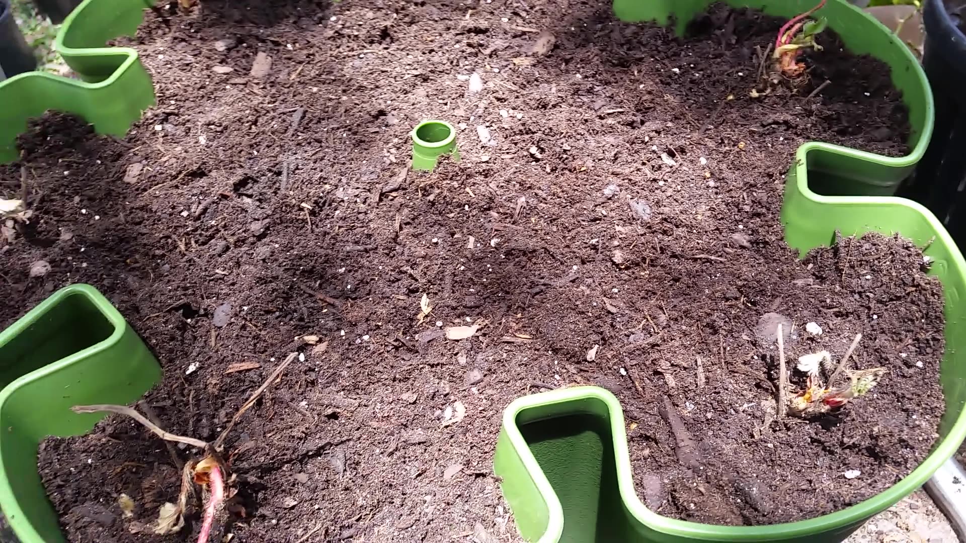 Green Stalk Assembly & Set-Up