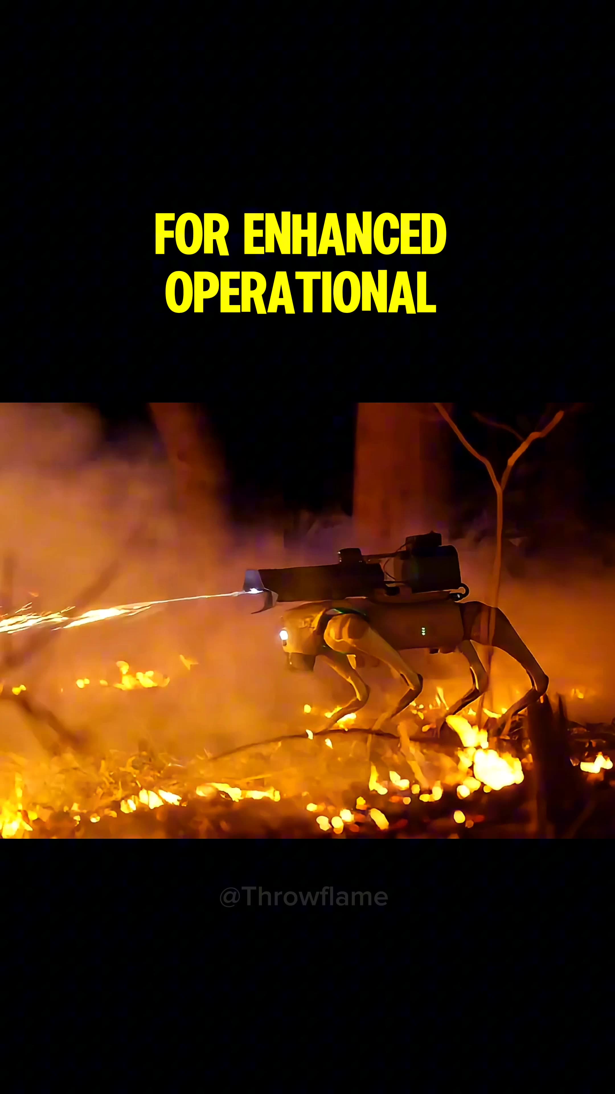 Flamethrower Equipped Robot Dog?