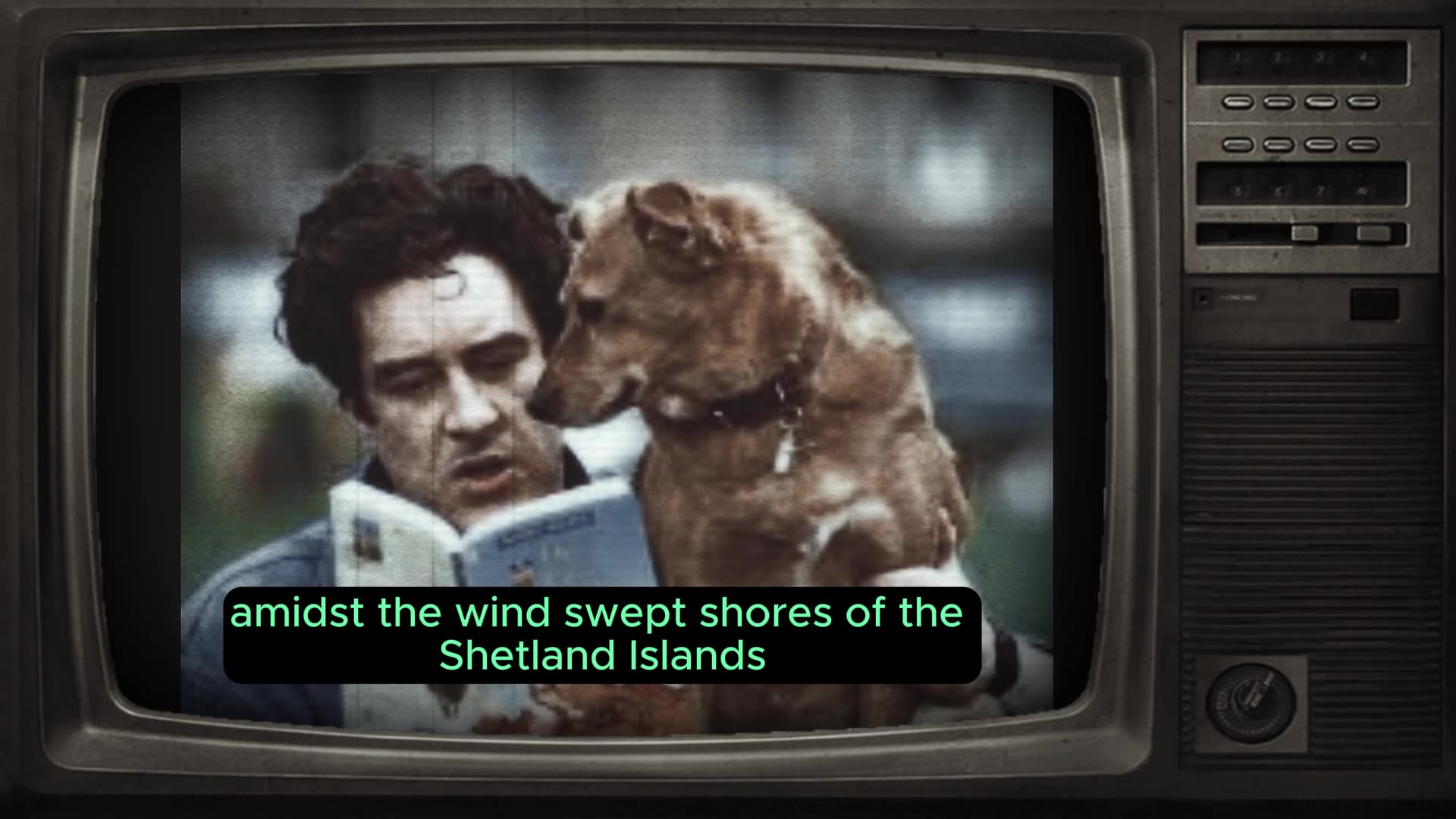 The Hidden Truth: The Story of Harry Horse