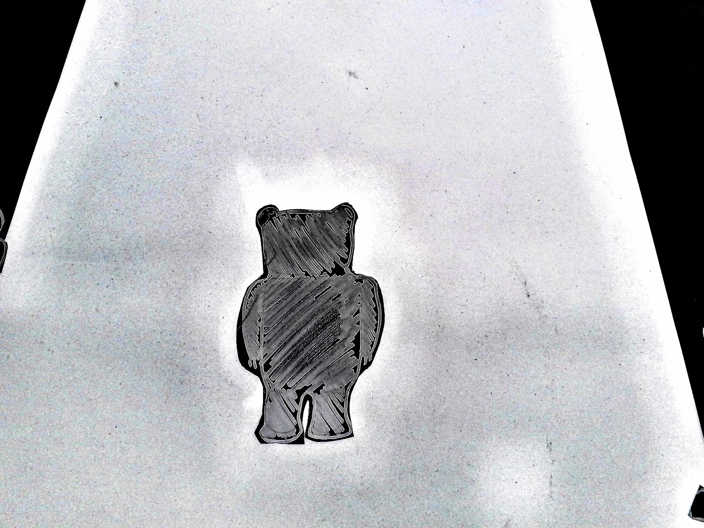Blueroom - The Pacing Bear