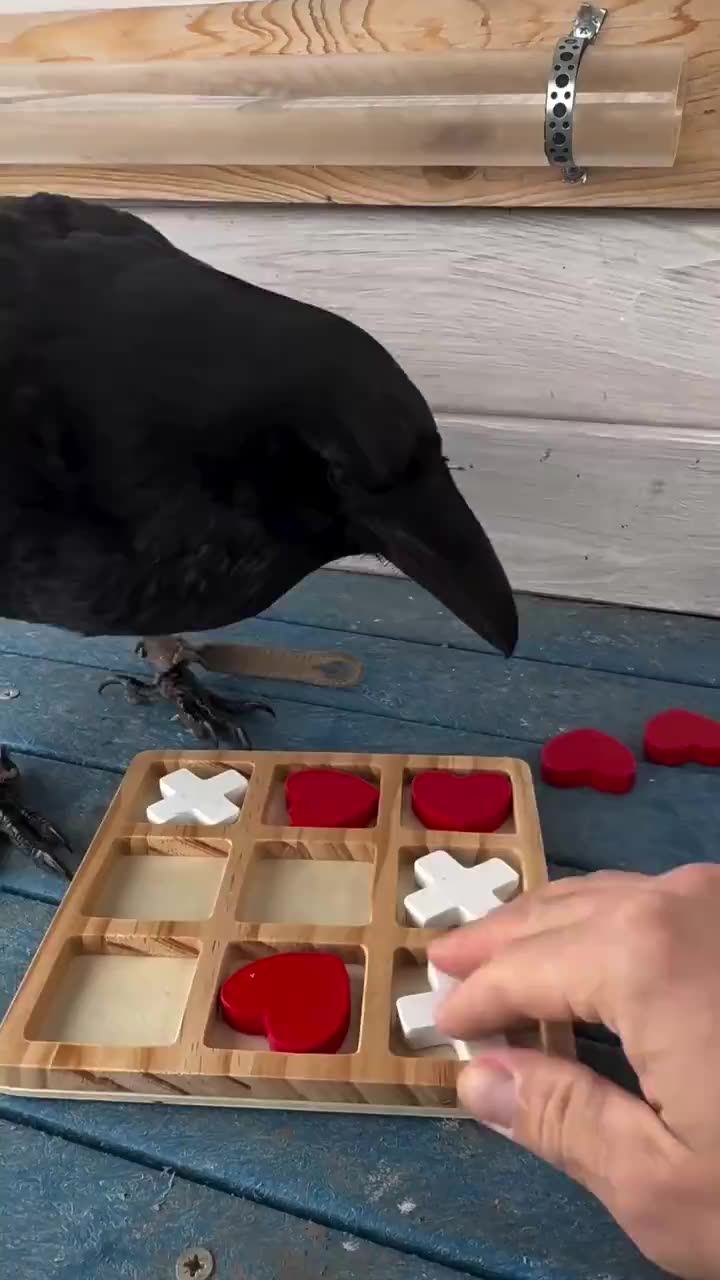 A Smart Raven wins Tic-tac-toe
