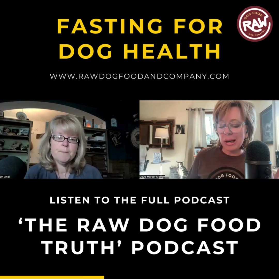 Fasting for Dog Health