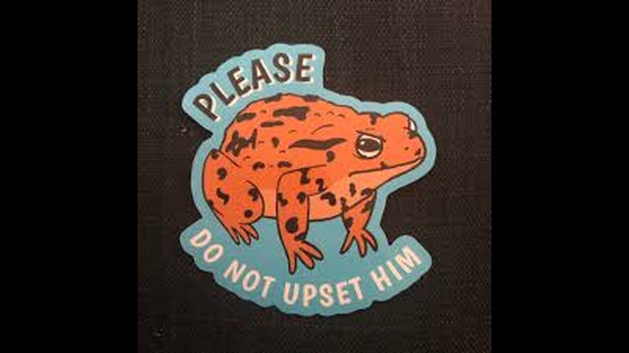 Cuzin Chronicles: War on Clippers edition!