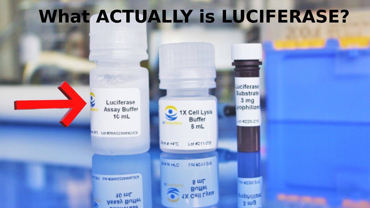 What Really is LUCIFERASE? And How Does it Connect With The Vaccine ...