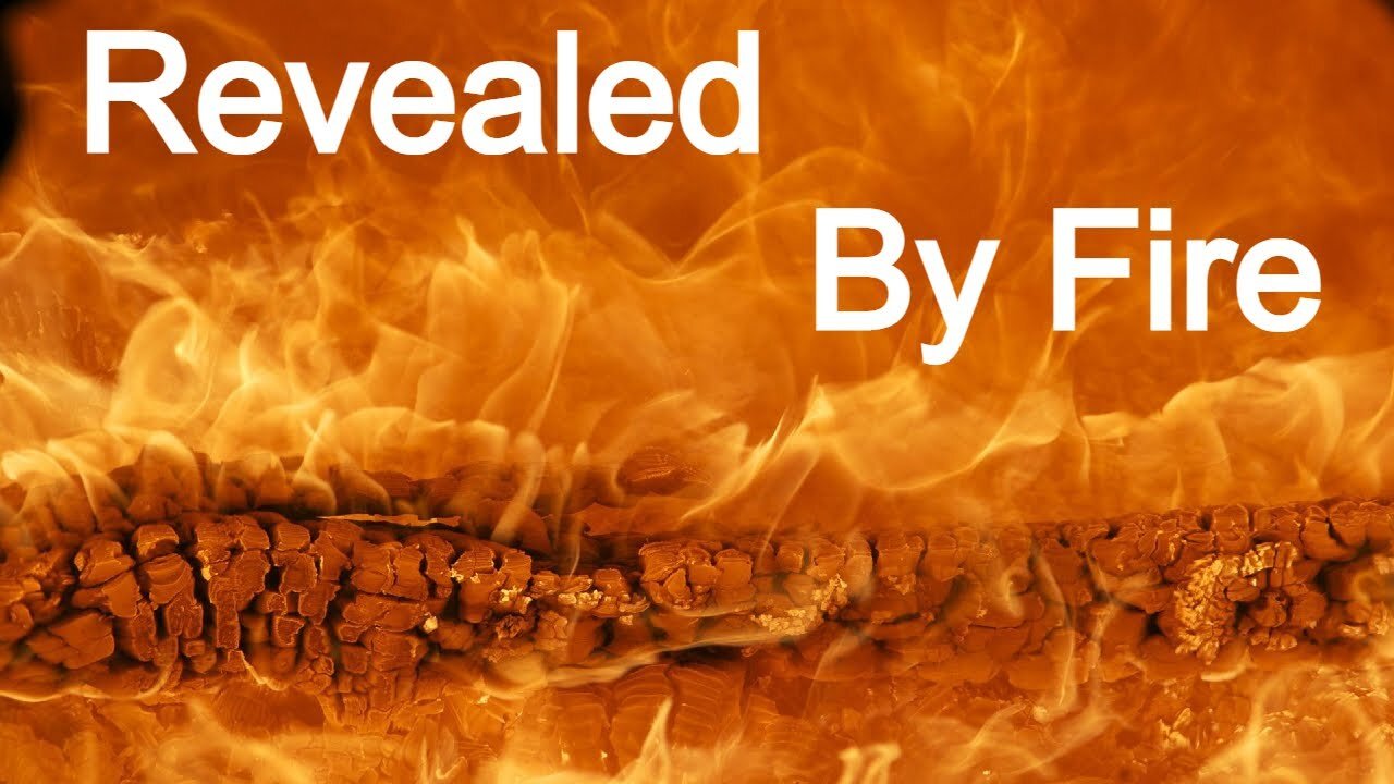 Revealed By Fire By Rev. S C Rainey Holy Ghost Anointed Holiness ...