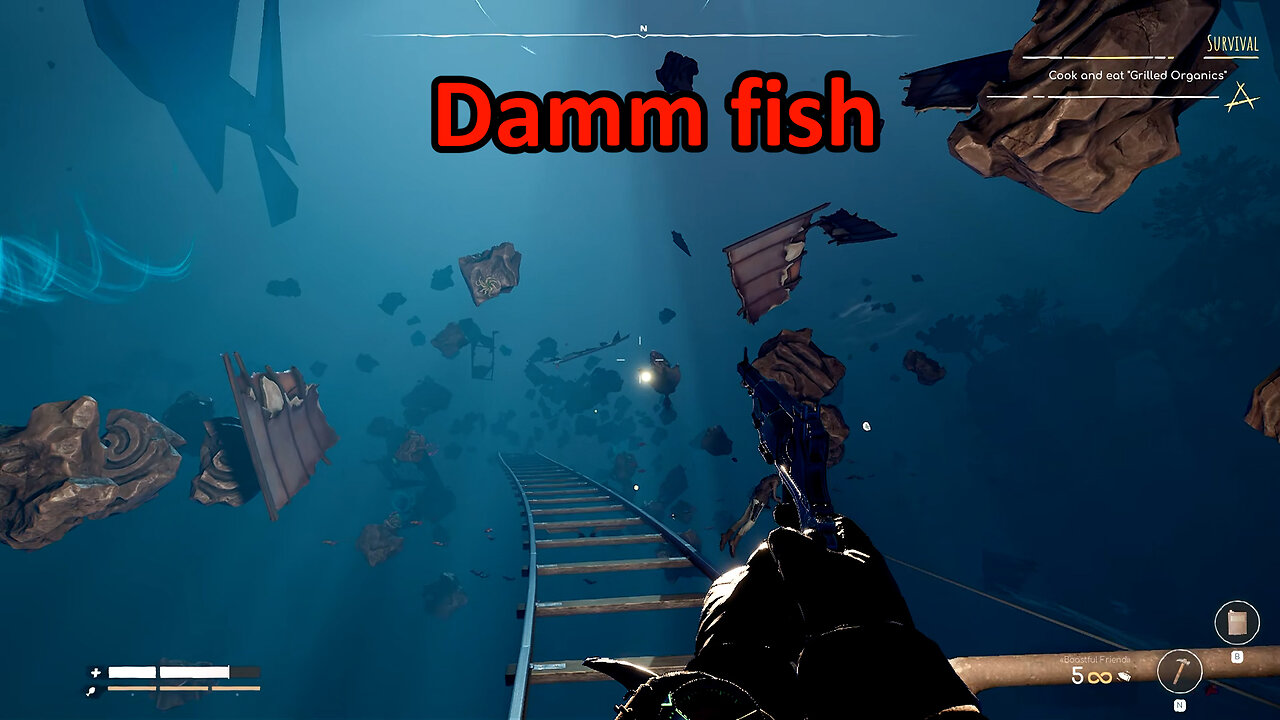 Voidtrain | many o wildlife | 13 5 23 p3 |with Jen| VOD|