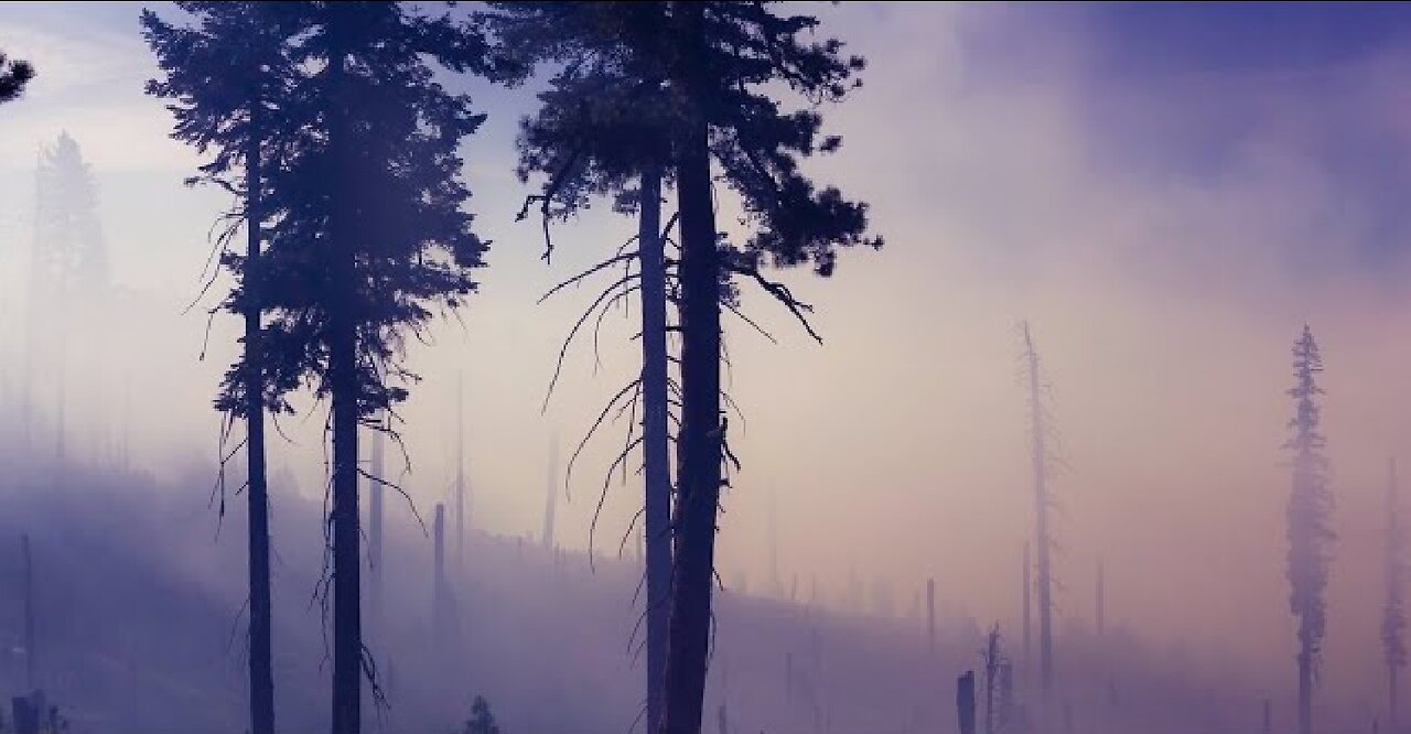 Natural firestorm sounds for relax, studying, meditation and sleep ...