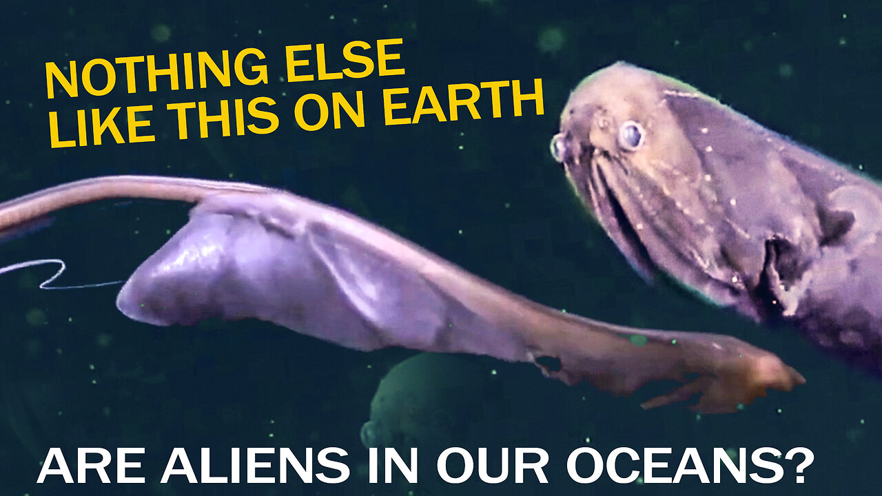 Alien Like Shapeshifter Caught on Camera by Scientists Turns Itself ...