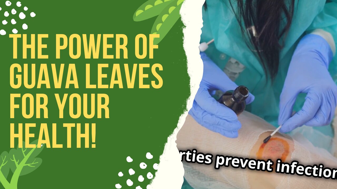 The Power of Guava Leaves for Your Health!