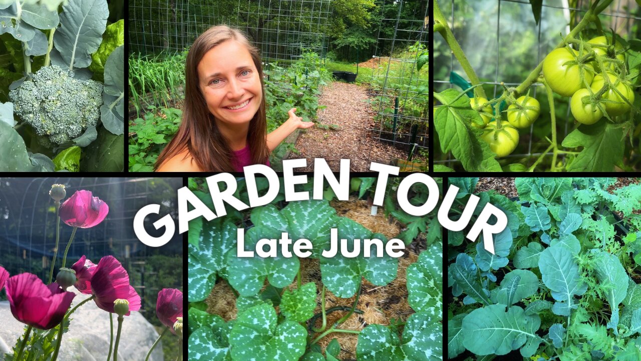 June Vegetable Garden Tour - 2024