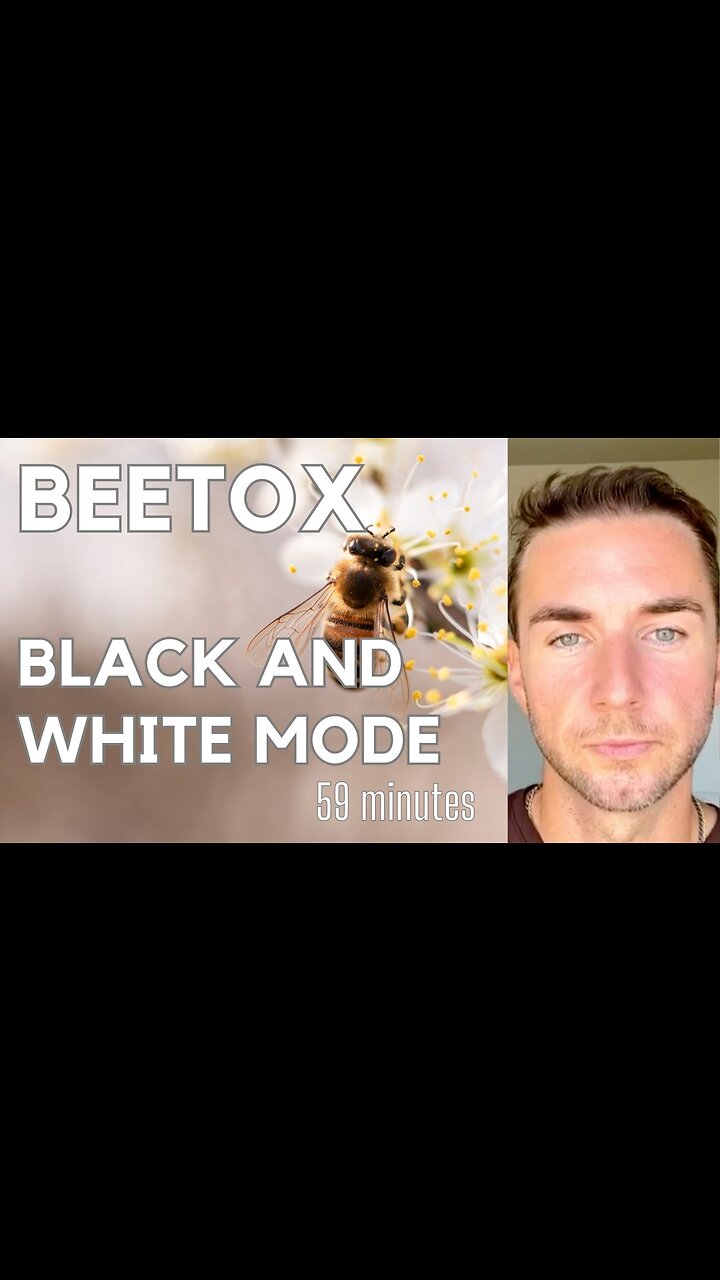 Beetox, bees, electricity, deprogramming, and black and white mode