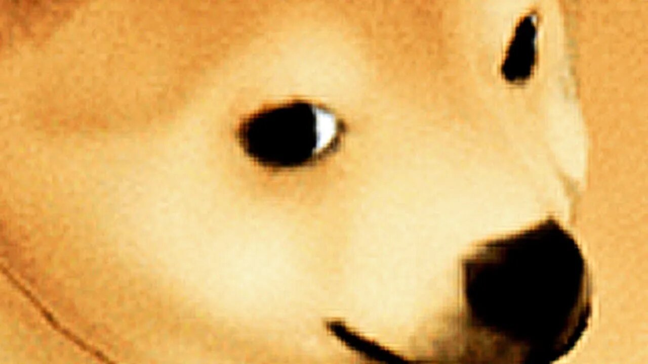 BACKROOMS COM UM DOG BOMBADO, ELE QUER ME PEGAR! - BACKROOMS BUFF DOGE ...