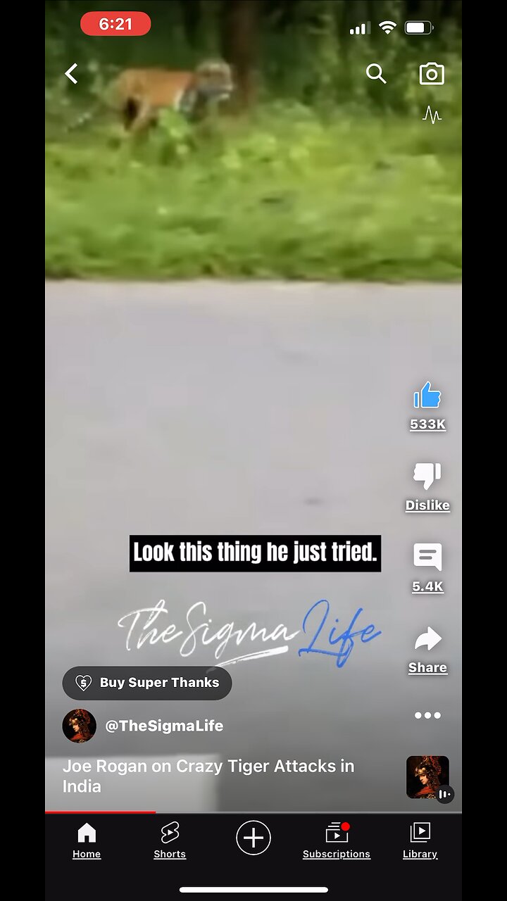 Joe Rogan and crazy Tiger