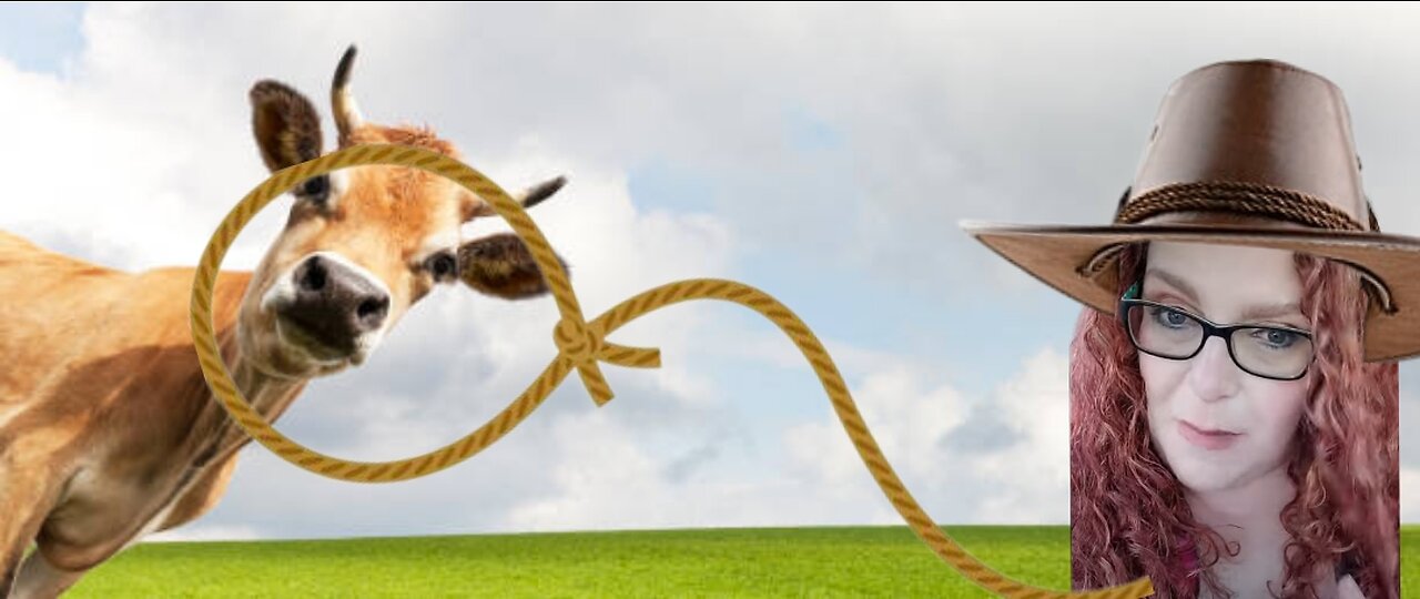 FRI NIGHT LOLCOW ROUNDUP/DC MEDIA GIRL/NEGZ RETIRES/RUSS BEING RUSS ...