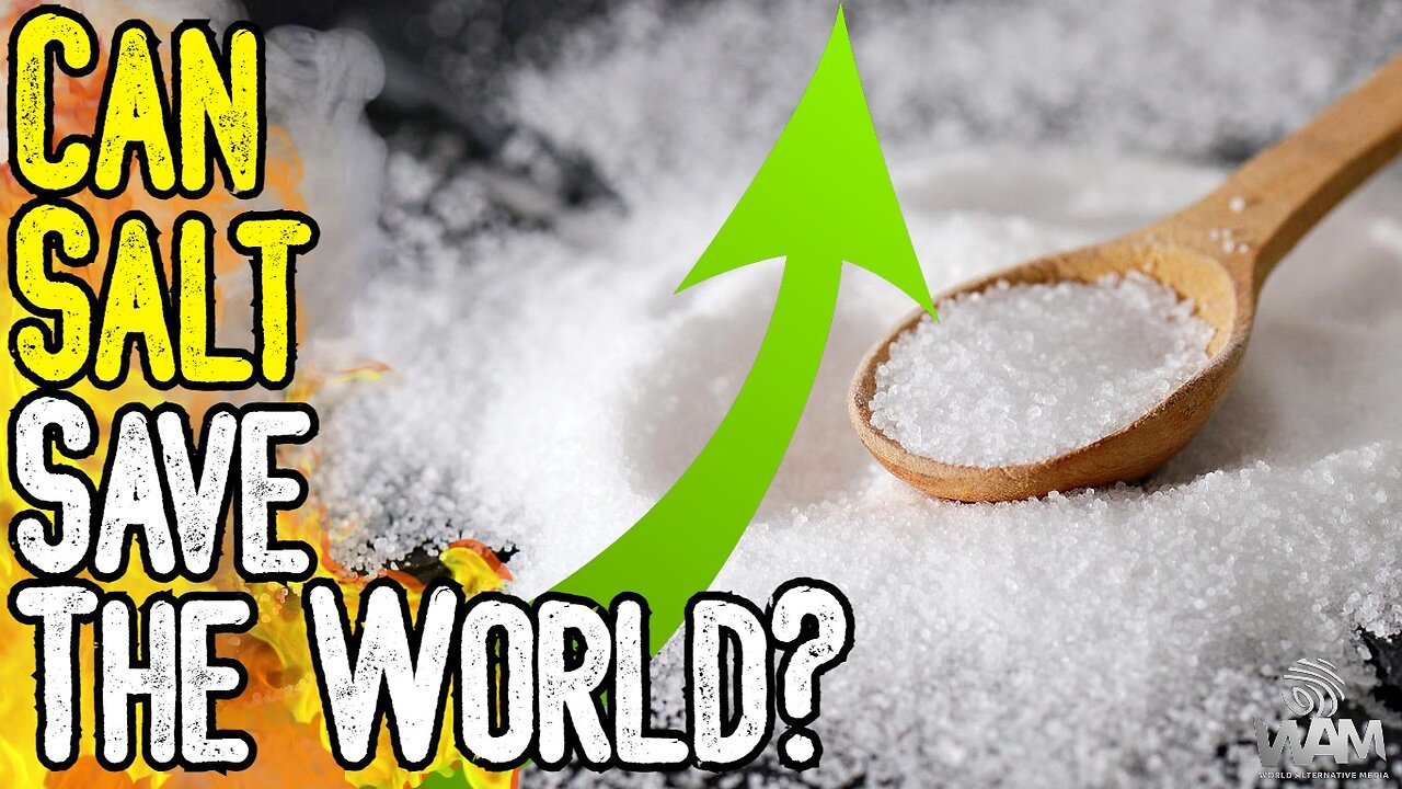 Can SALT Save The World? - As Inflation RAGES & Supply Chains Collapse ...