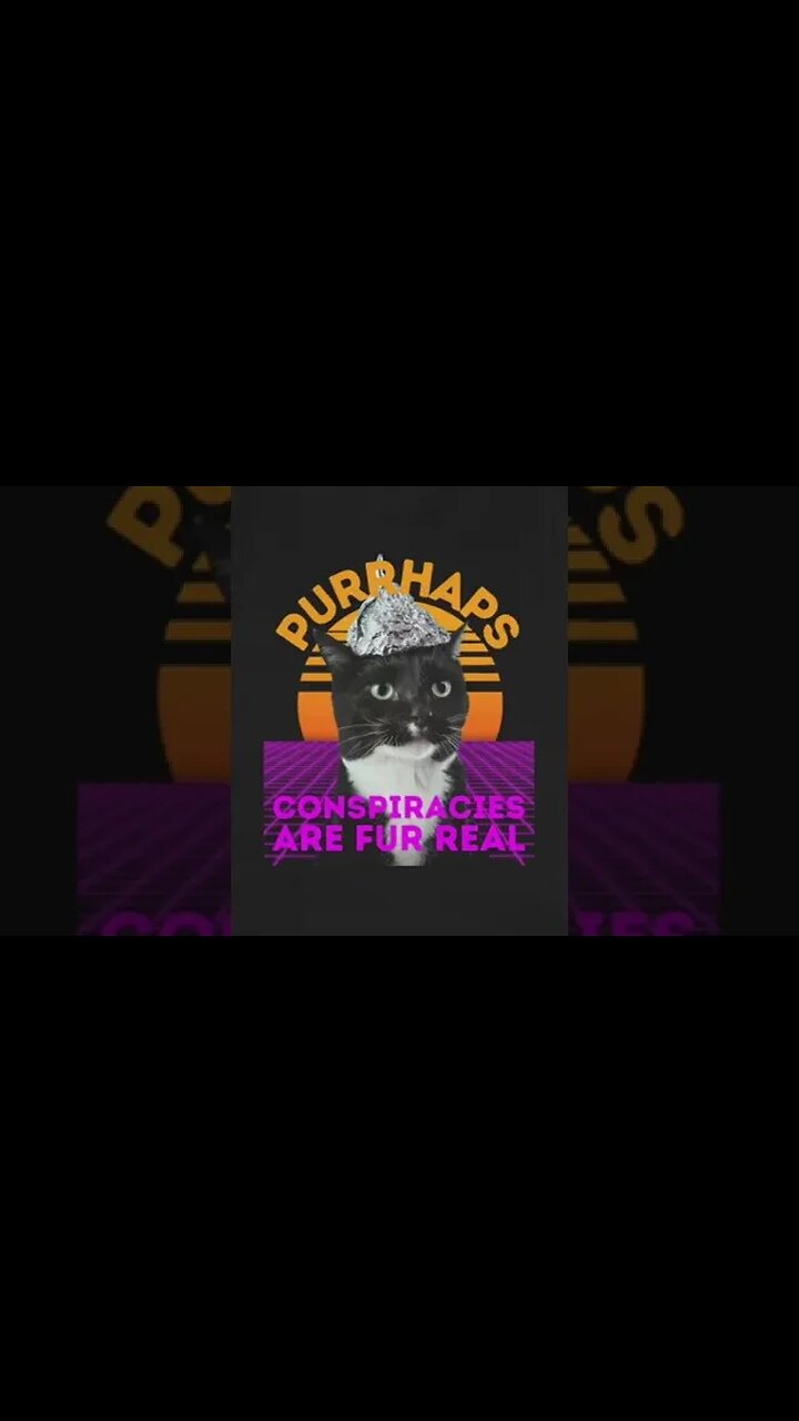 The Cat in the Tinfoil Hat May Be Right #funny #conspiracy #meme #shorts