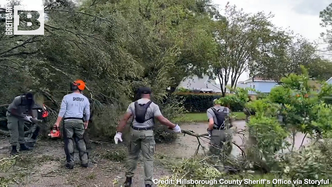 TREE TEAM, ASSEMBLE! Hillsborough Sheriff's Office REMOVES Downed Trees ...