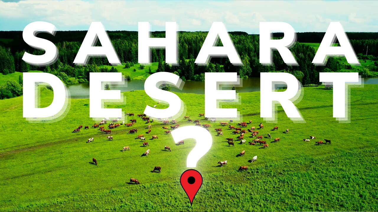 Discover The Absolutely Spectacular African Sahara Desert; A # ...