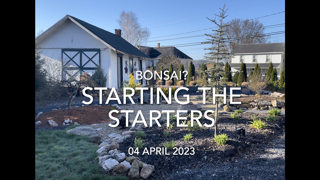 Starting the Starters