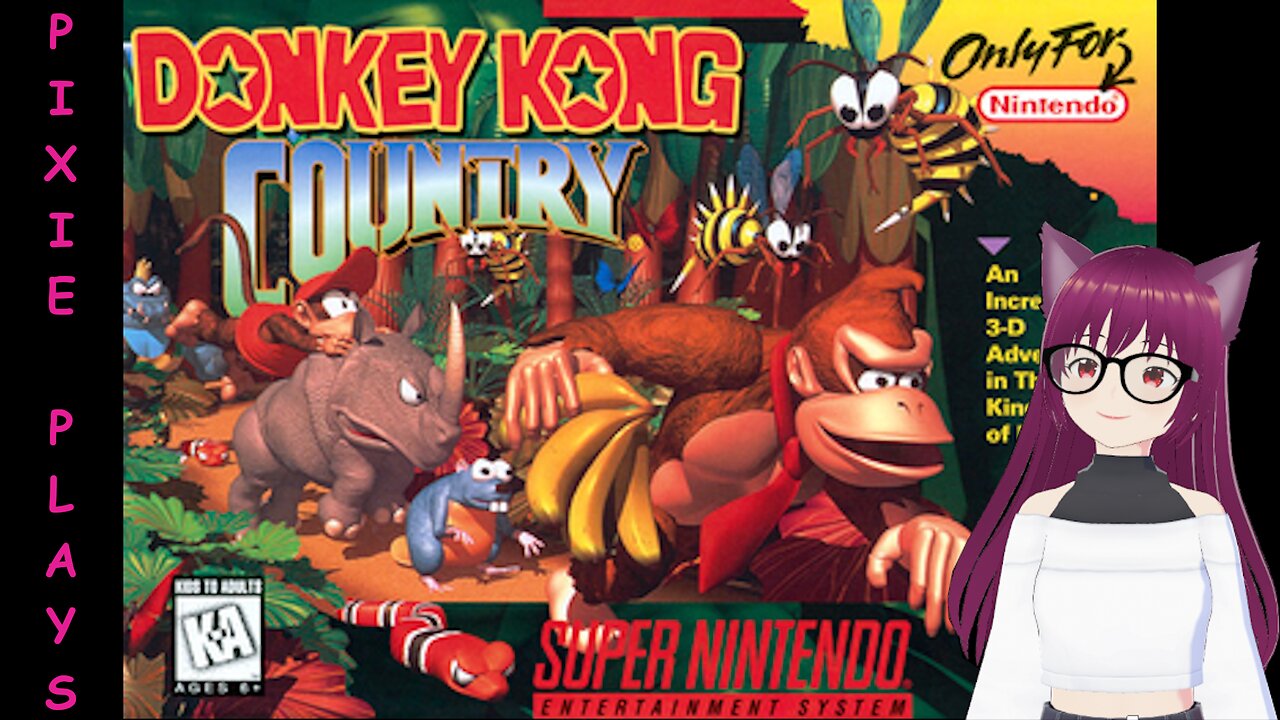 Pixie Plays Donkey Kong Country Part 4