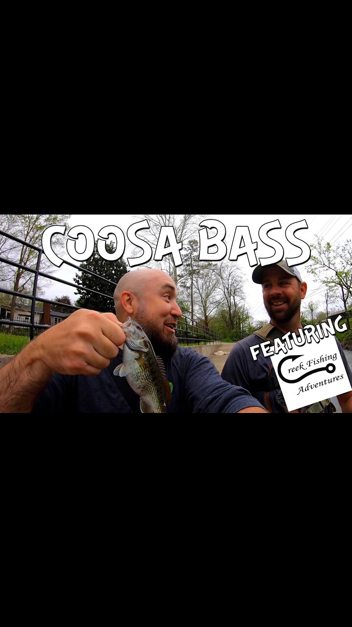 My first COOSA BASS! ft - Creek Fishing Adventures