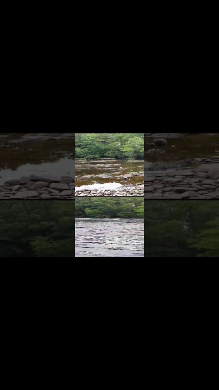 Fast vs slow river comparison of the river Spean Scotland