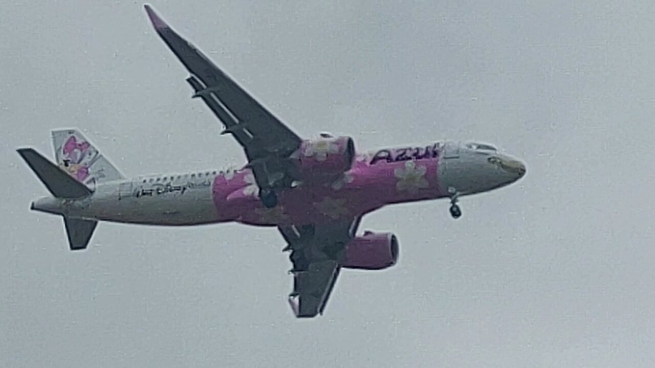 Airbus A320NEO Daisy Duck PR-YSK coming from Belém do Pará to Fortaleza