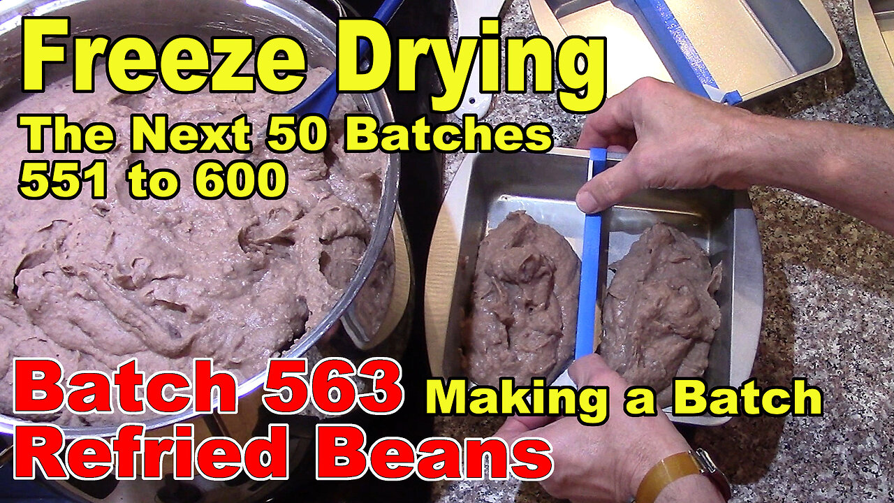 Freeze Drying - The Next 50 Batches - Batch 563 - Making and Freeze ...