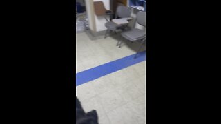 This Tiny Police Dog In Training Is The Cutest Recruit