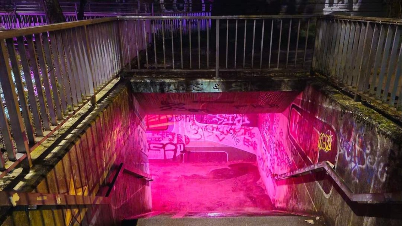 It's Pink Down There || FLOW STATE LIVE