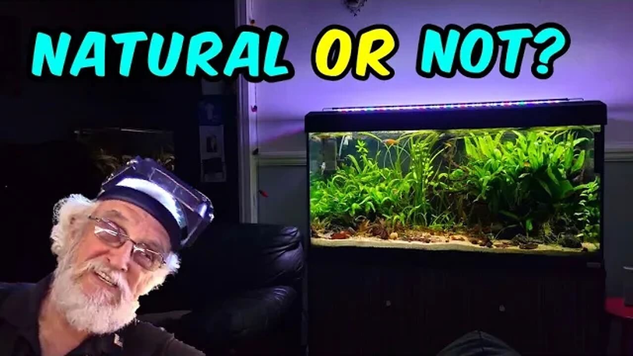 Revealing the Secrets of Natural Aquariums - Major YouTubers are ...