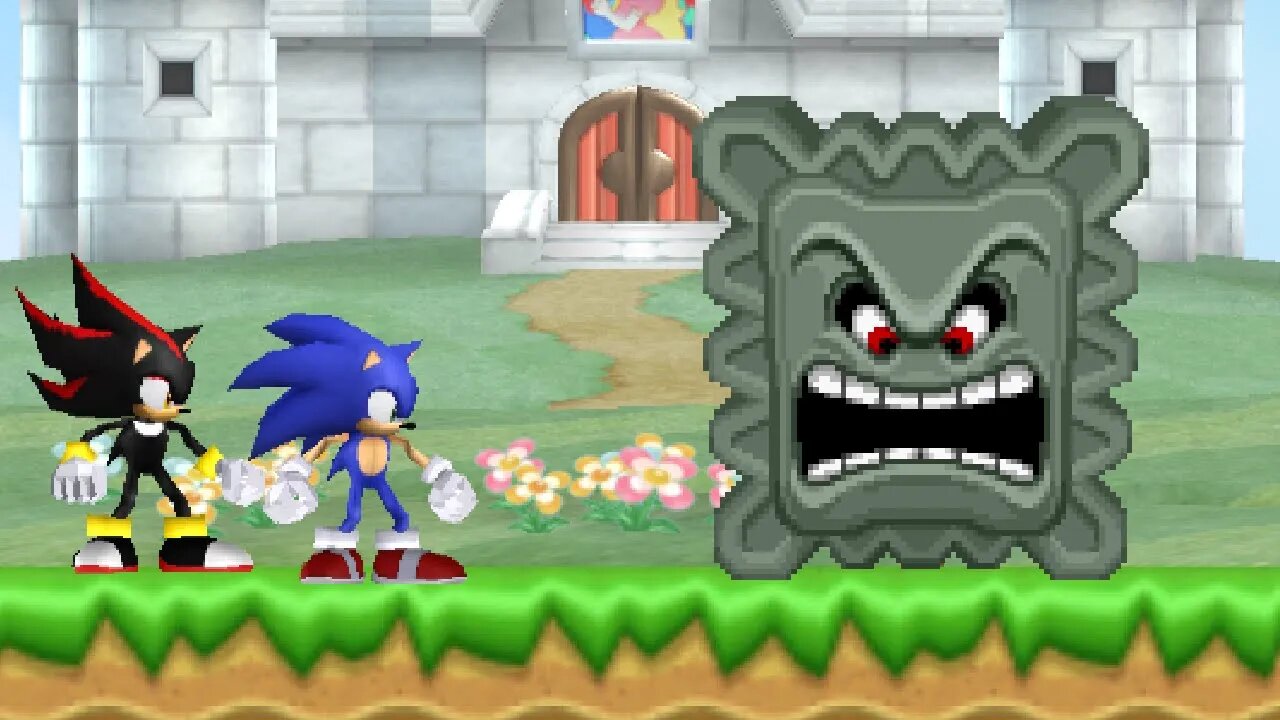 New Super Sonic Bros. Wii: Sonic Adventure - 2 Player Co-Op Walkthrough ...