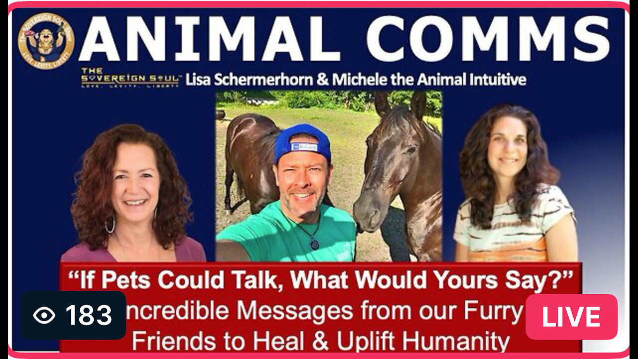 A True HORSE WHISPERER - Animal Communicator Michele Lowry, Lisa ...