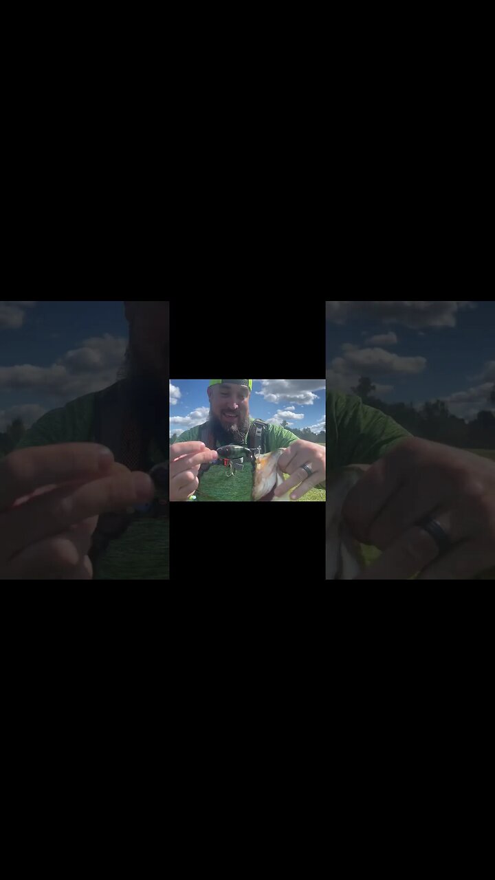 homemade DIY whopper plopper catches largemouth on the FIRST CAST!