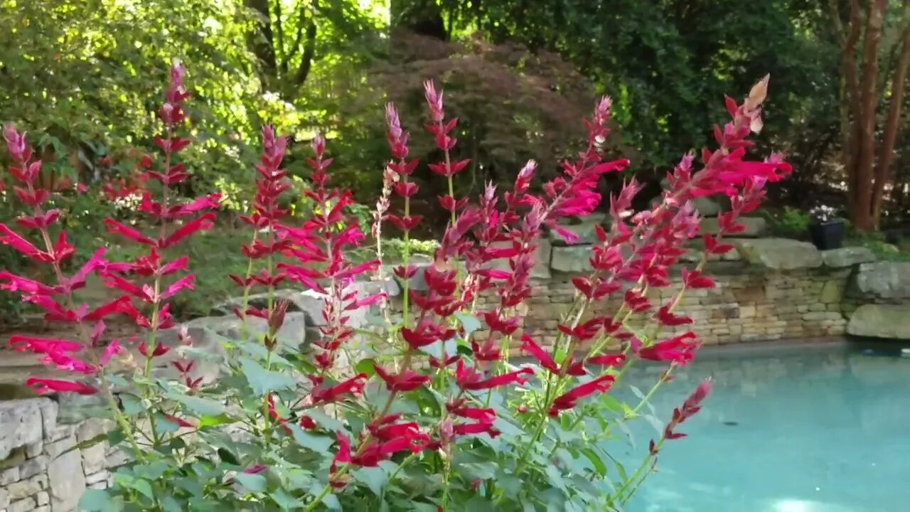 Part 2 Rapture Watchmen & Watchwomen- Speak Up for Jesus