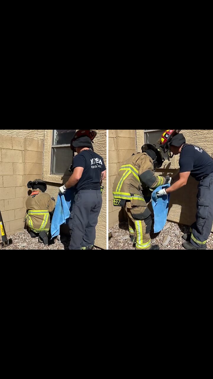 Firefighters Rescue Cat Stuck In A Cinder Block Wall 6624