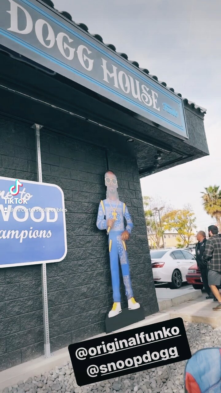 You know Mr.Carter had to pull up to THA @snoopdogg @originalfunko DOGG ...
