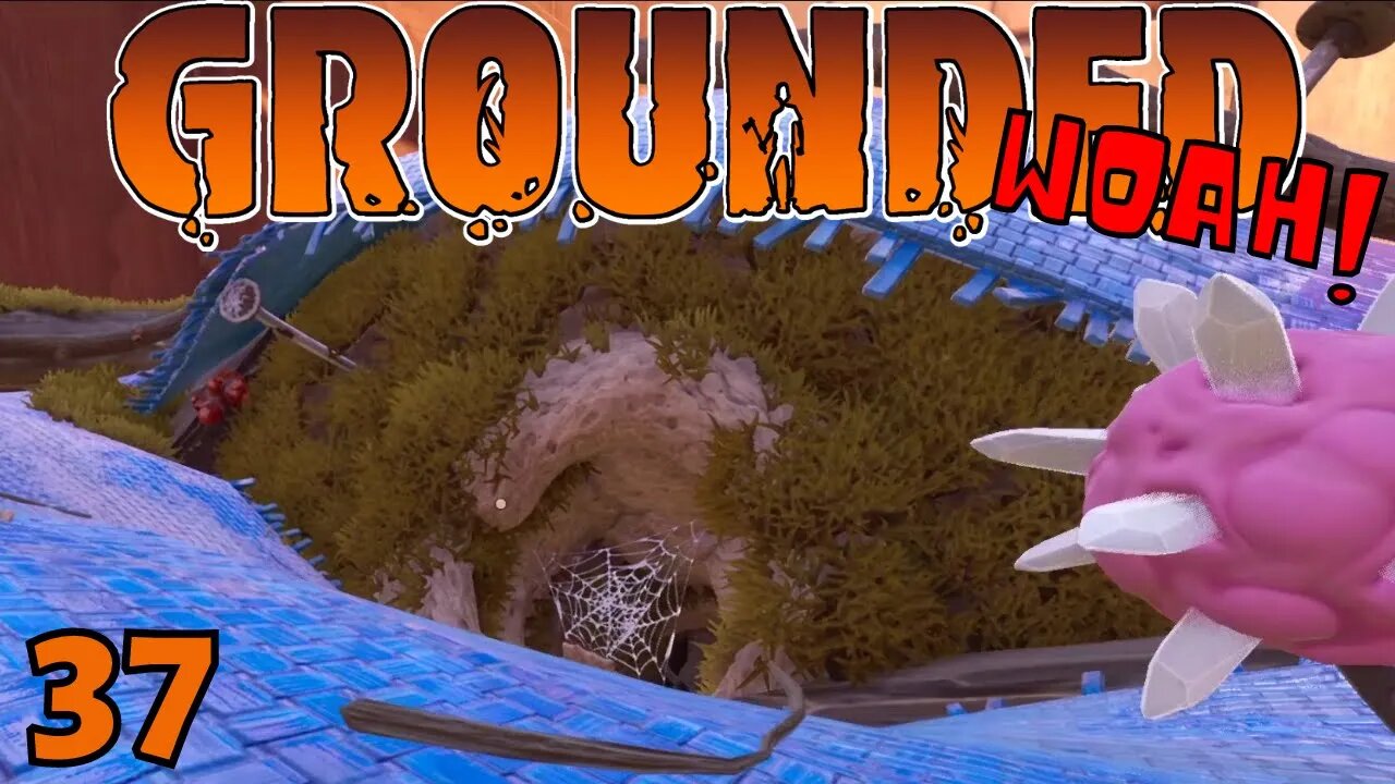 Clearing The Termite Den Again For Those Good Nuggies - Grounded Home ...